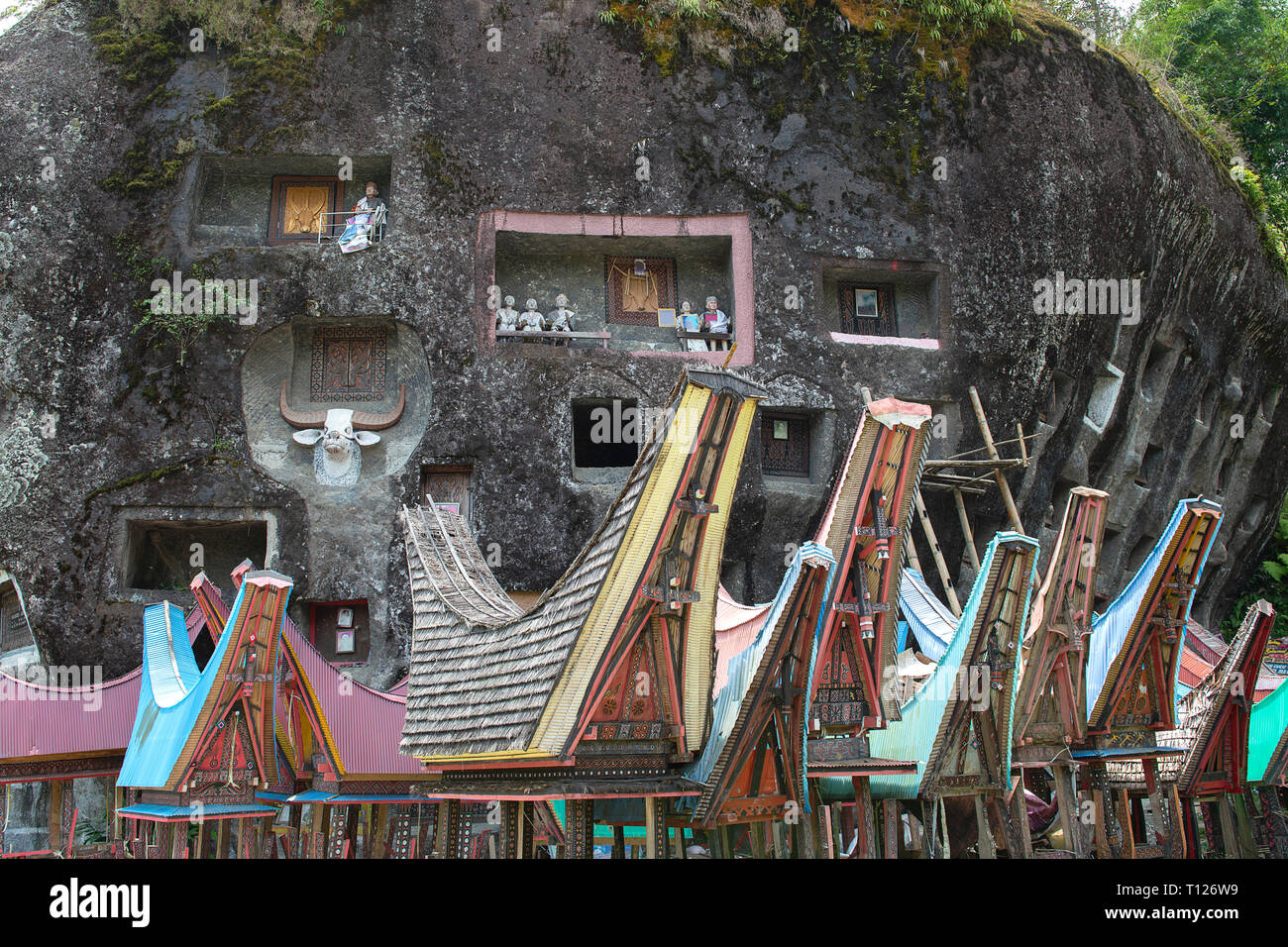 Tongkonan houses, traditional Torajan buildings, Tana Toraja is the ...