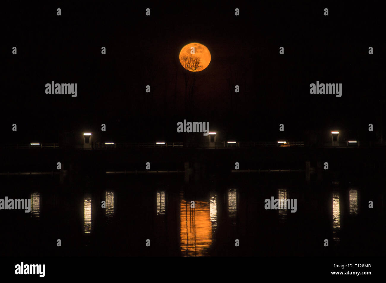 Moon ight hi-res stock photography and images - Alamy