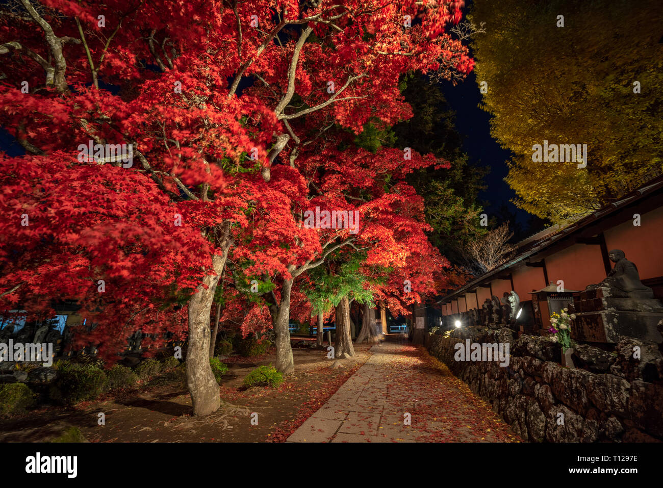 Chino nagano hi-res stock photography and images - Alamy