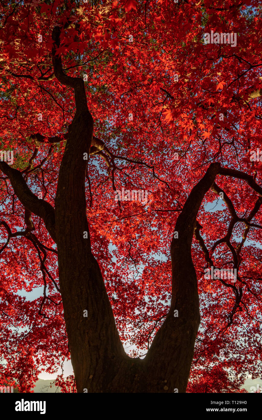 Autmun view hi-res stock photography and images - Alamy