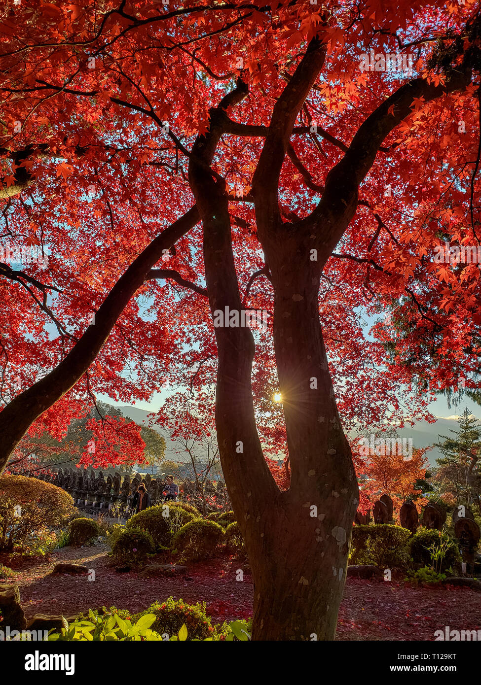 Autmun view hi-res stock photography and images - Alamy