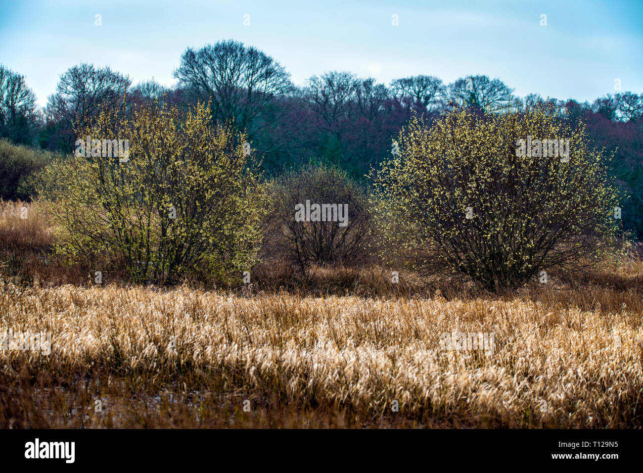 Panorama poster hi-res stock photography and images - Alamy