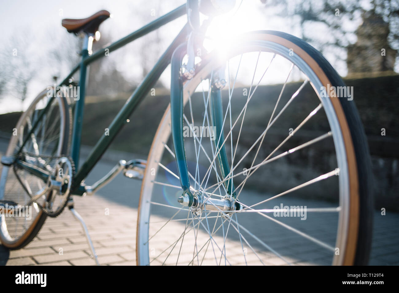 Golden cycle no hi-res stock photography and images - Alamy