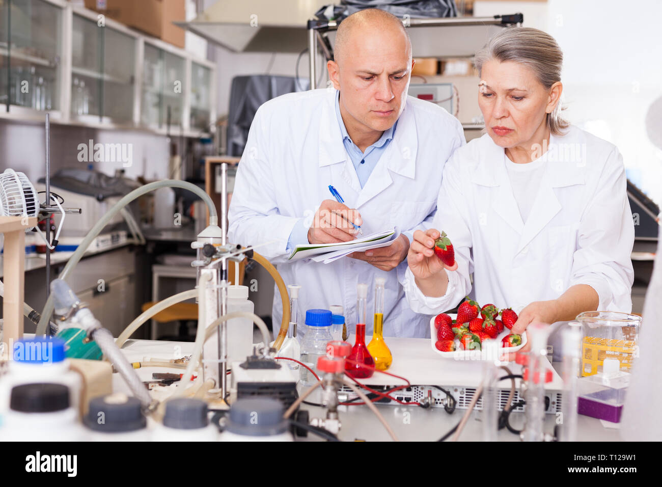 Scientific researching in laboratory. Two scientists taking notes while ...