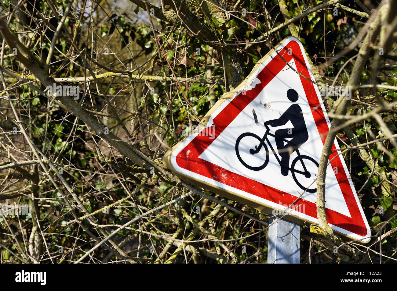 Triangle road sign bicycle hi-res stock photography and images - Alamy