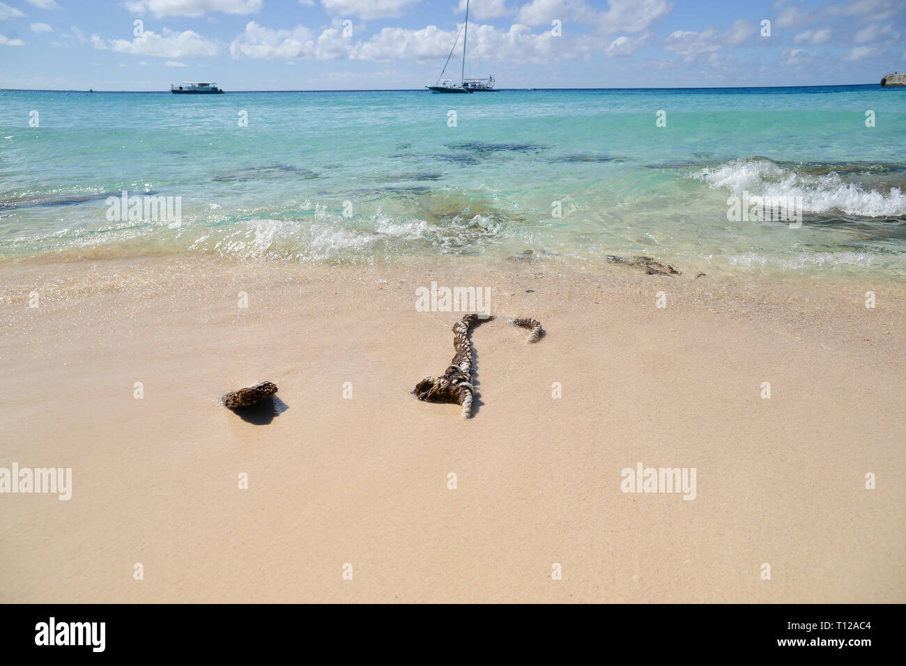 Rope tropical hi-res stock photography and images - Alamy