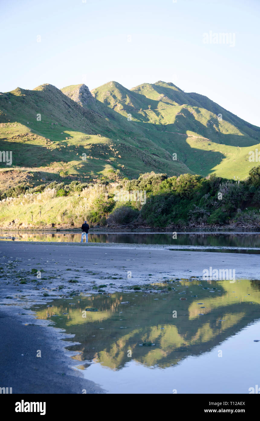 Farmland , hills and river estuary, Tora, Wairarapa, East Coast, North ...