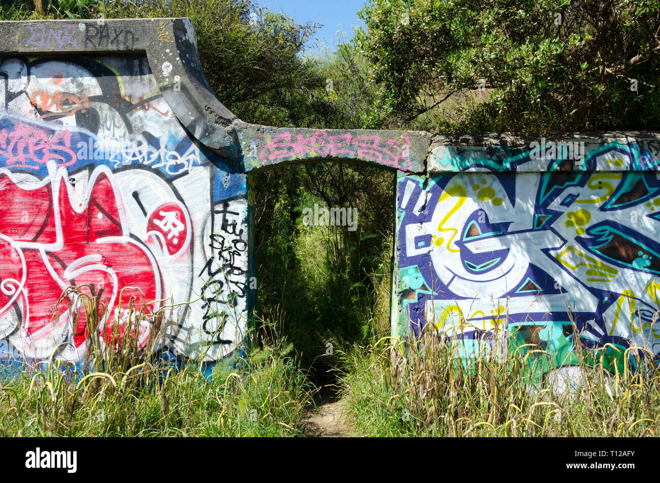 Graffiti covered walls, gun emplacement, Fort Ballance, Wellington ...