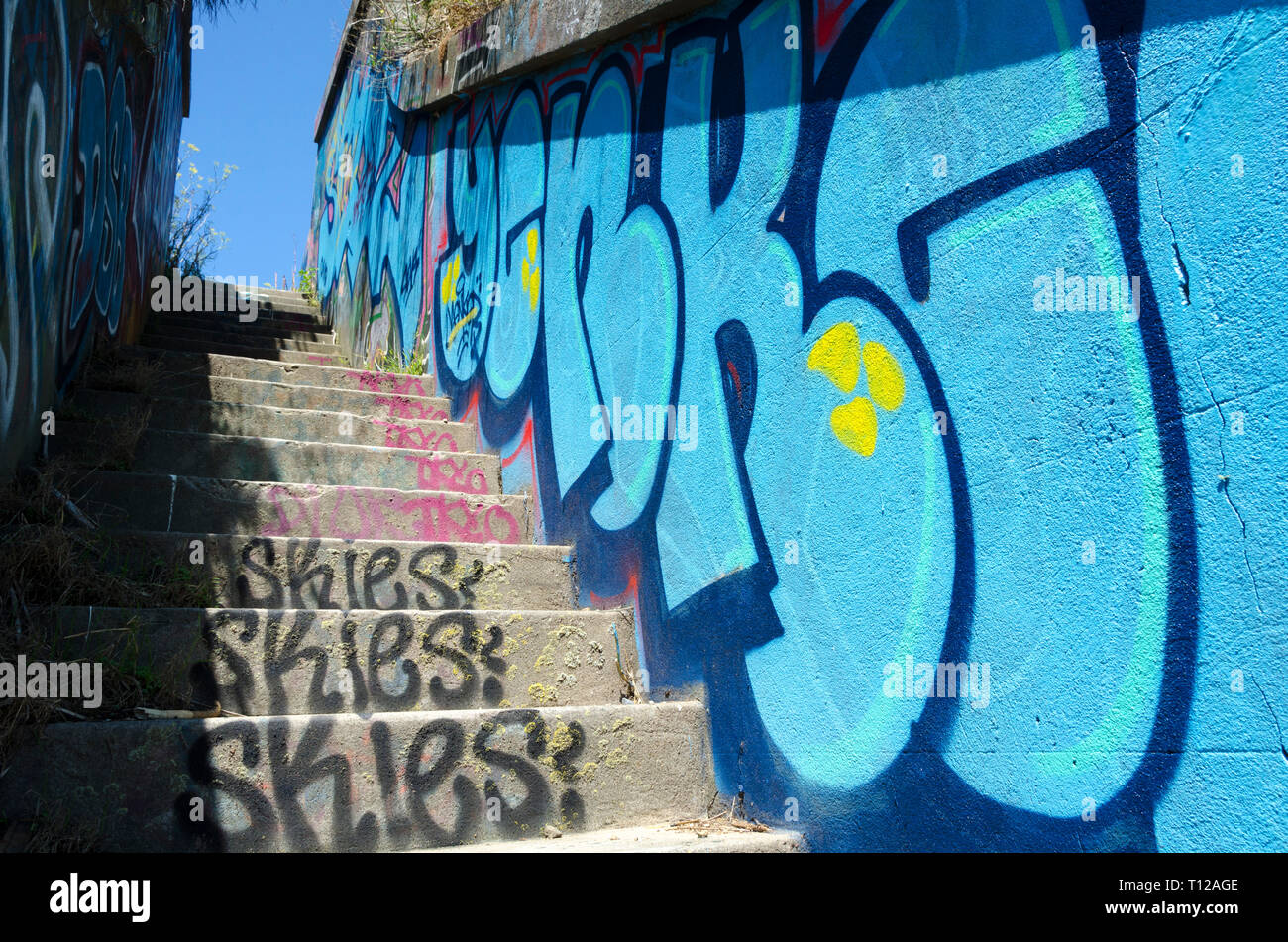 Graffiti covered walls, gun emplacement, Fort Ballance, Wellington ...