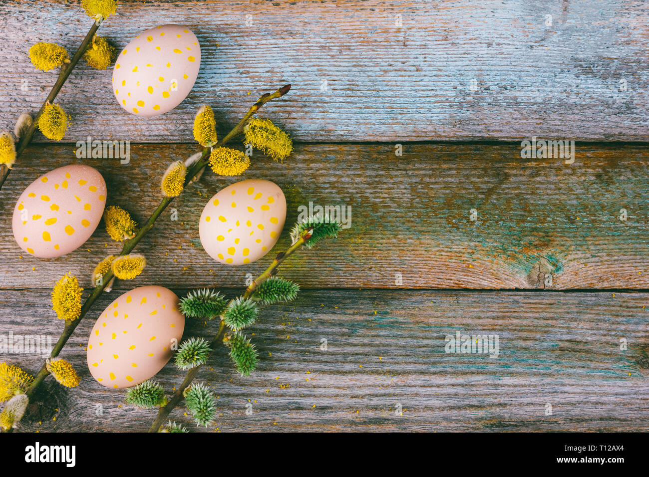 Easter composition of blooming willow twigs and Easter eggs with a ...