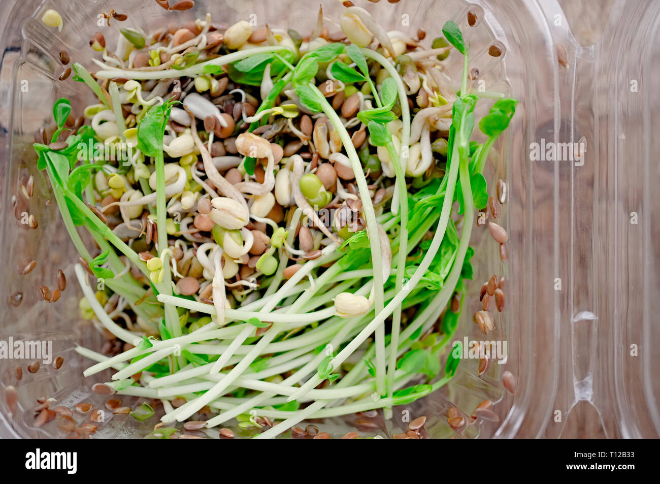 Salad of germinated seeds of flax pea lentils and other grains ...