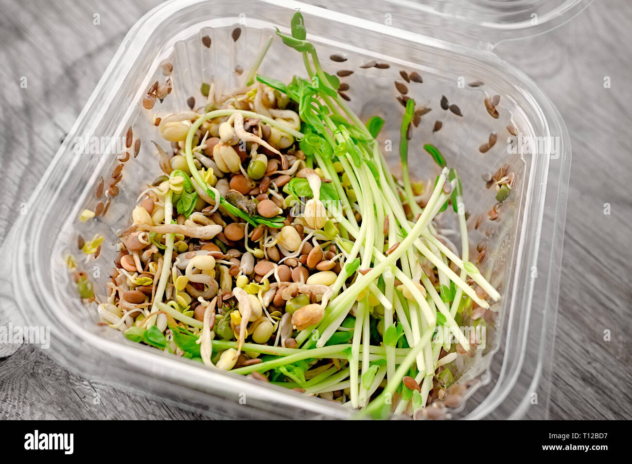 Salad of germinated seeds of flax pea lentils and other grains ...