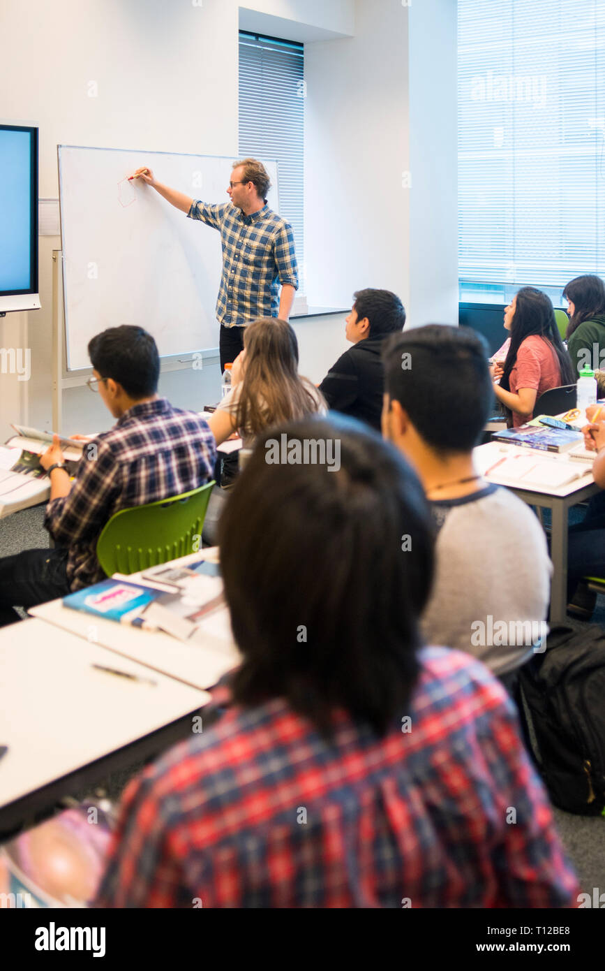 A busy classroom full of multicultural students during a lesson Stock ...