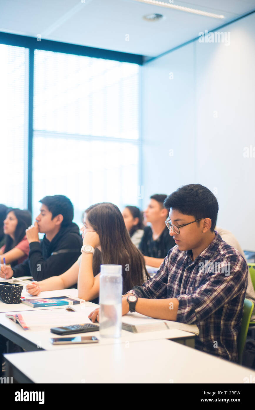 A busy classroom full of multicultural students during a lesson Stock ...