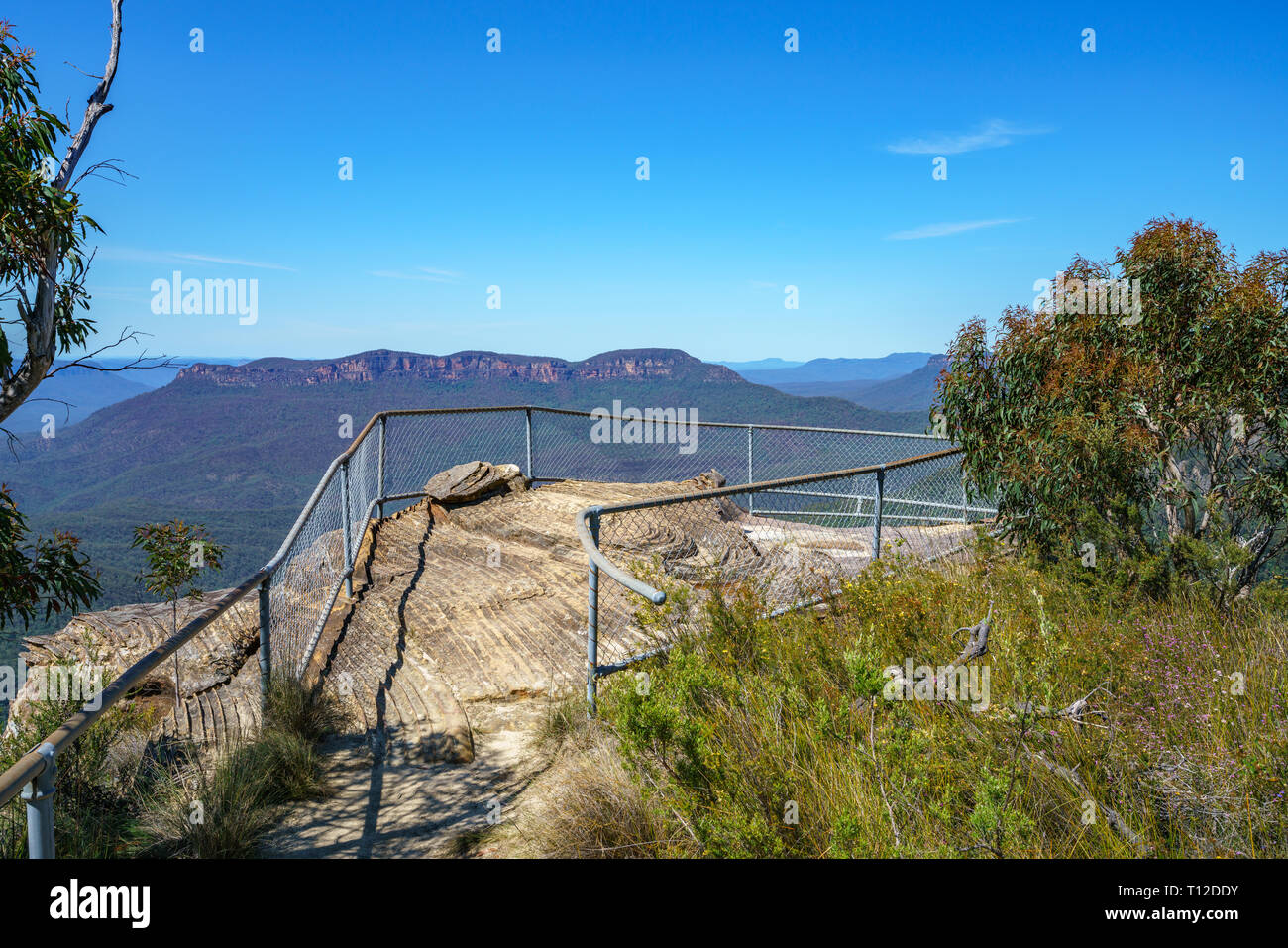 hiking the prince henry cliff walk, blue mountains national park ...