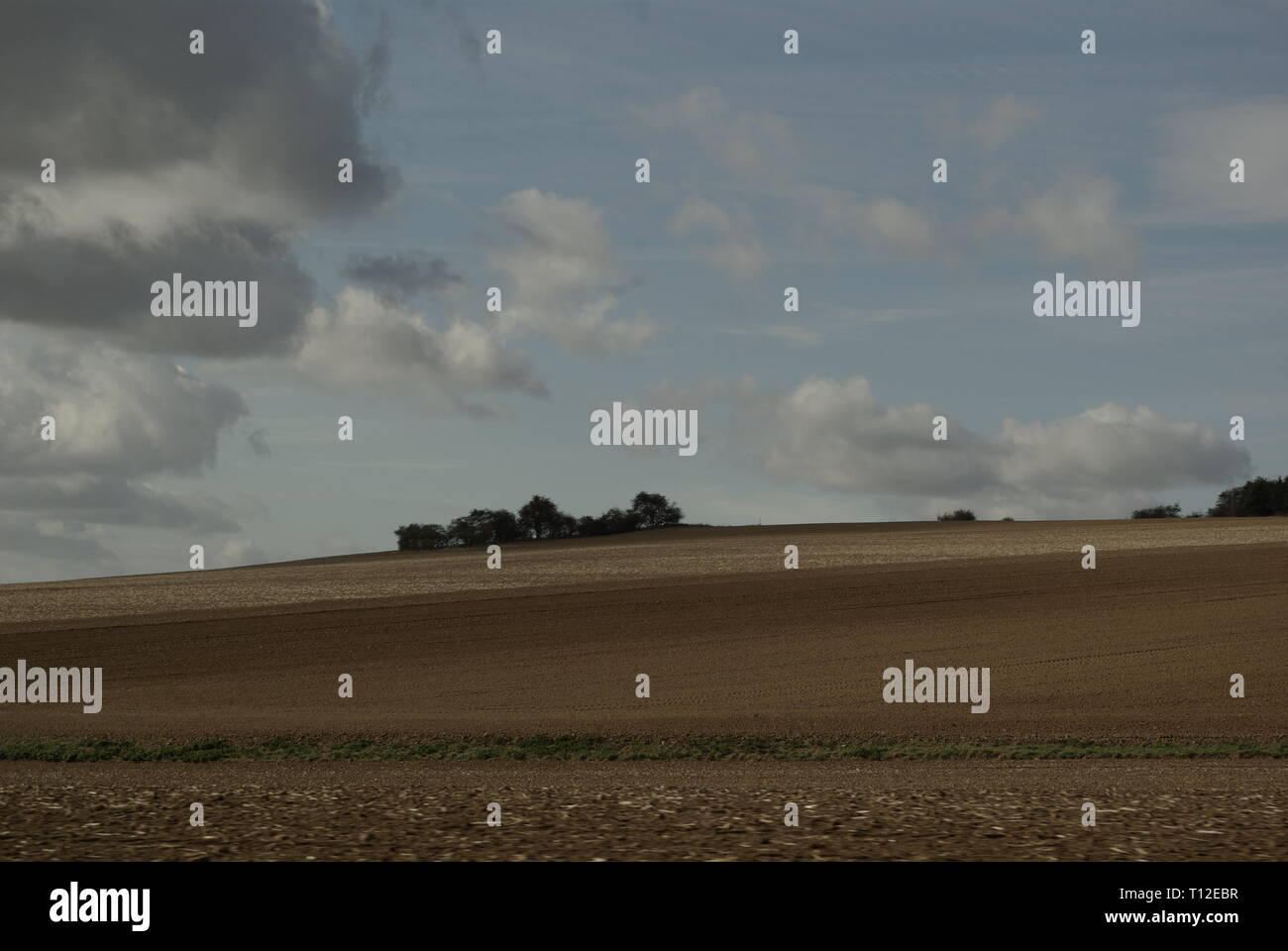 Beautiful green field landscape hi-res stock photography and images - Alamy