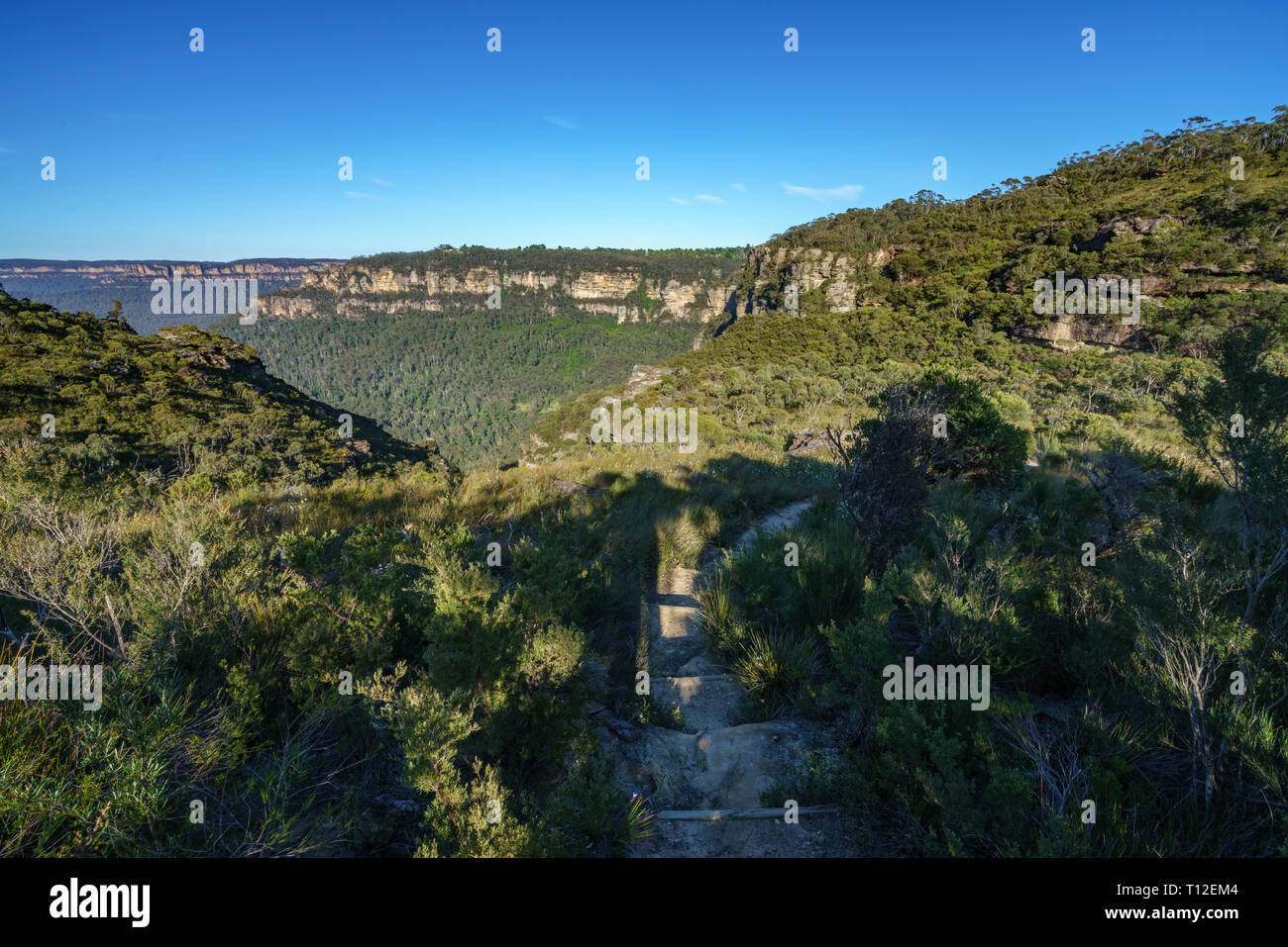 hiking the grand clifftop walk, blue mountains national park, australia ...
