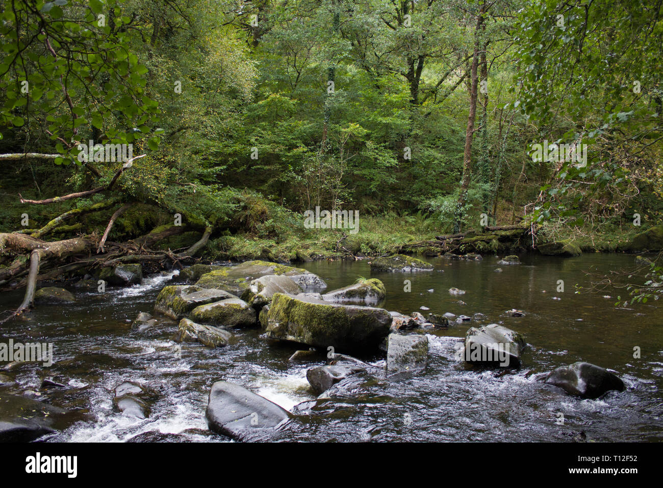 Rivers Flowing Through The Welsh Countryside Stock Photo - Alamy