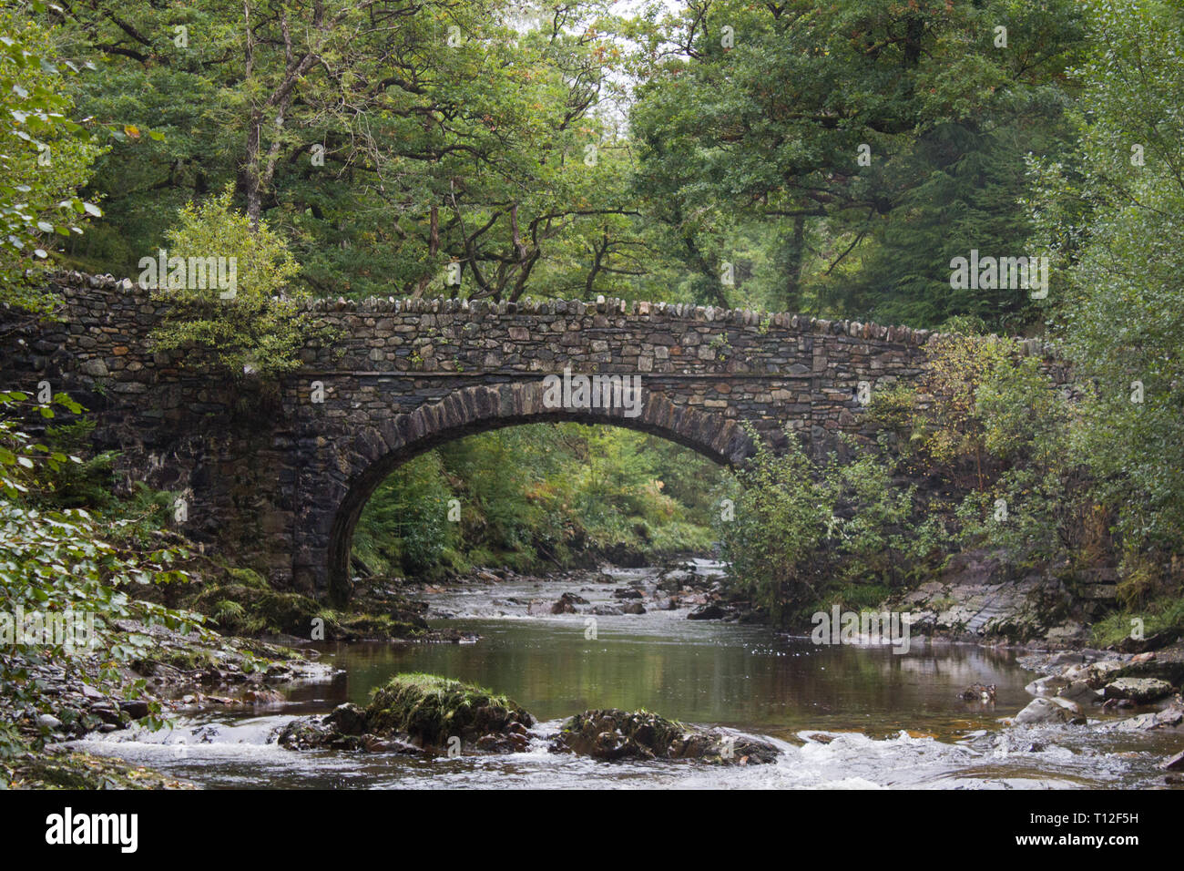 Beautiful stone bridge in wales hi-res stock photography and images - Alamy