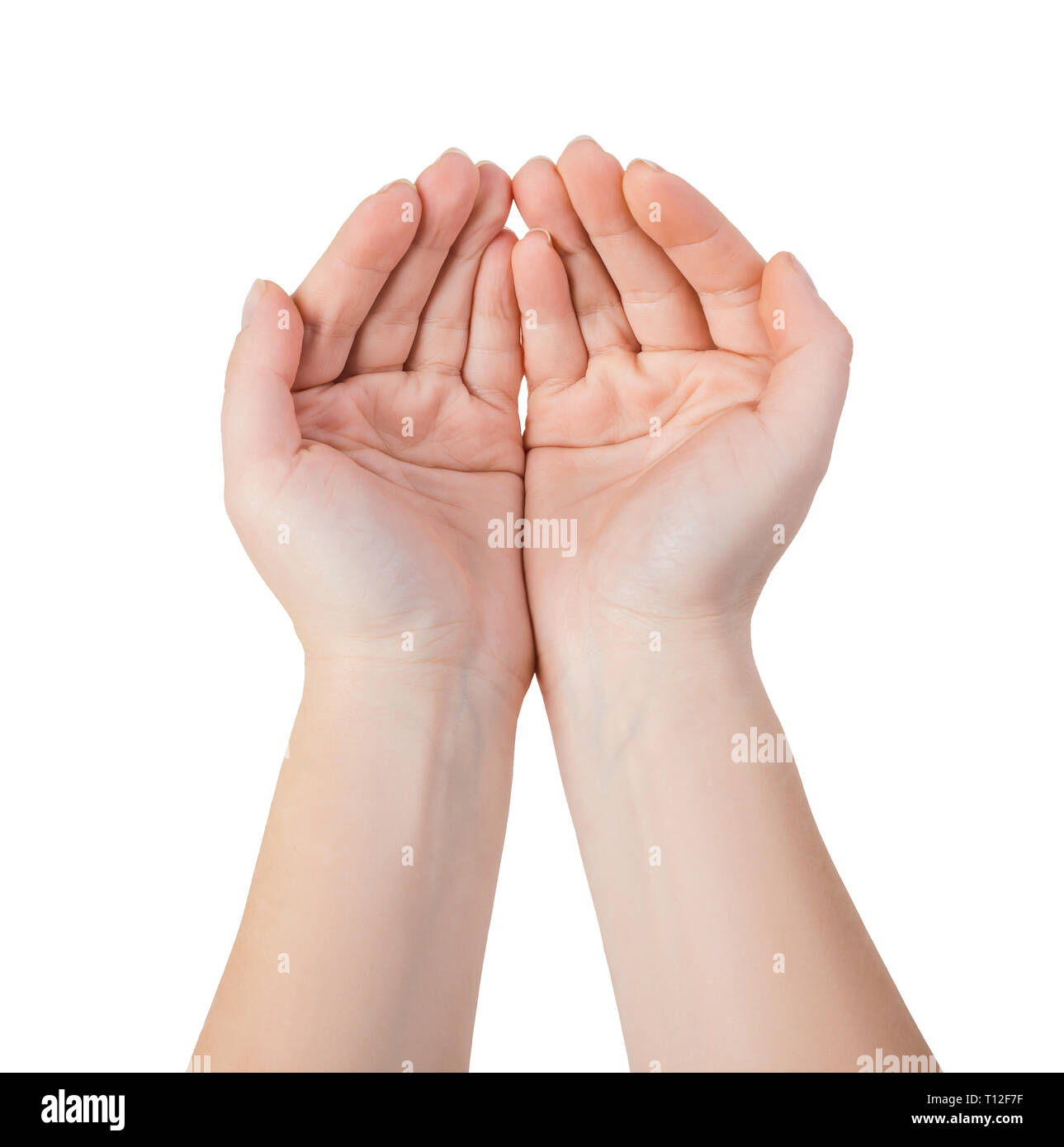 empty palms, hands in holding position isolated on white Stock Photo ...