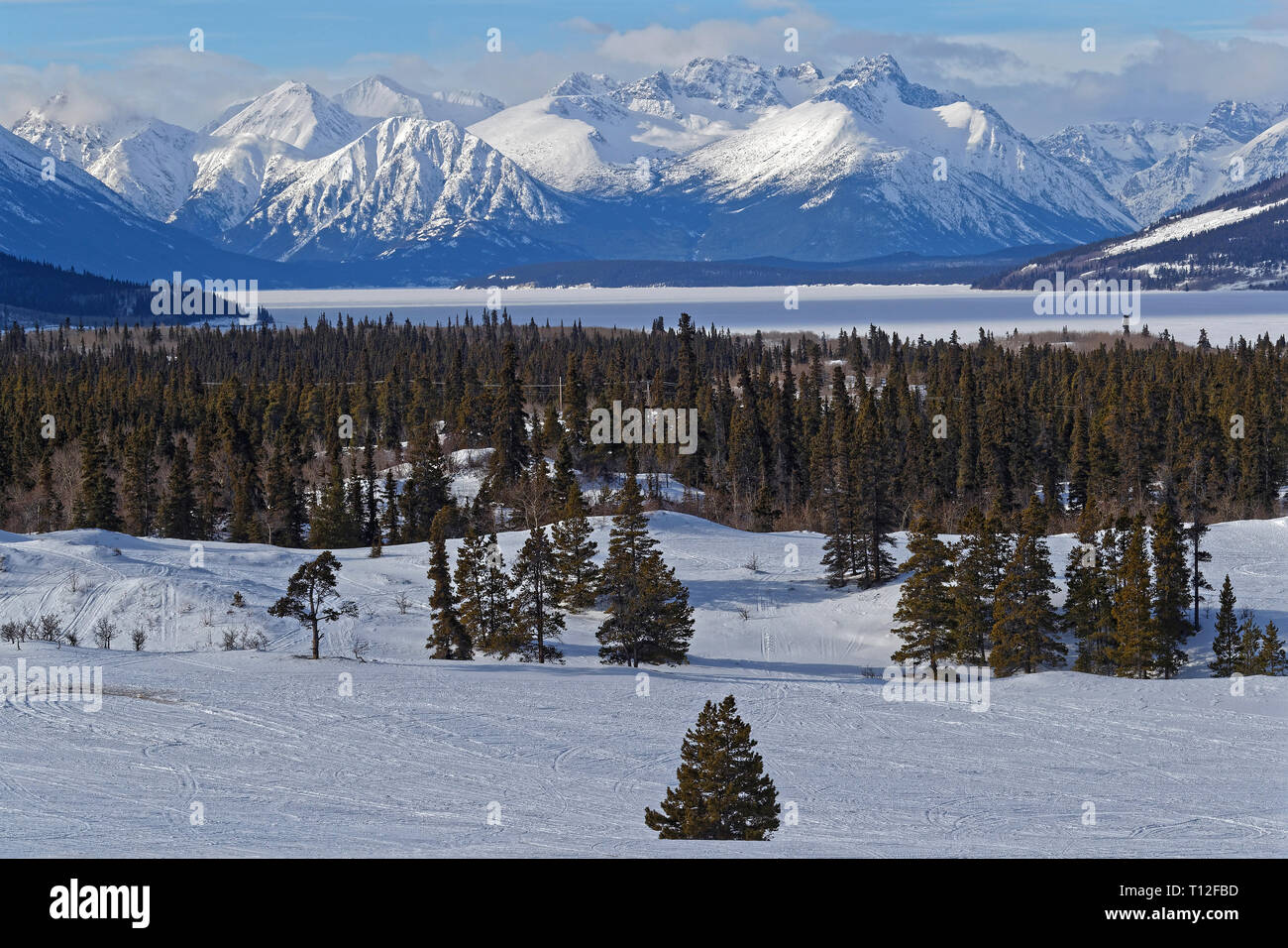 Carcross desert winter hi-res stock photography and images - Alamy