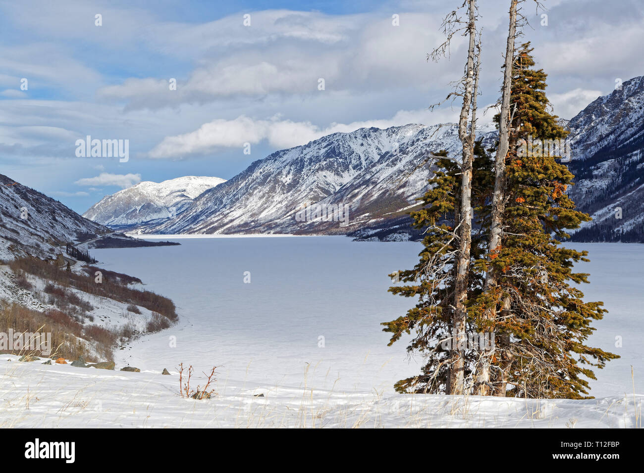 Tagish first nation hi-res stock photography and images - Alamy