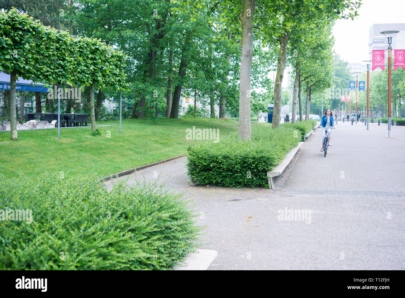 Images taken on campus at Tilburg University in Holland Stock Photo - Alamy