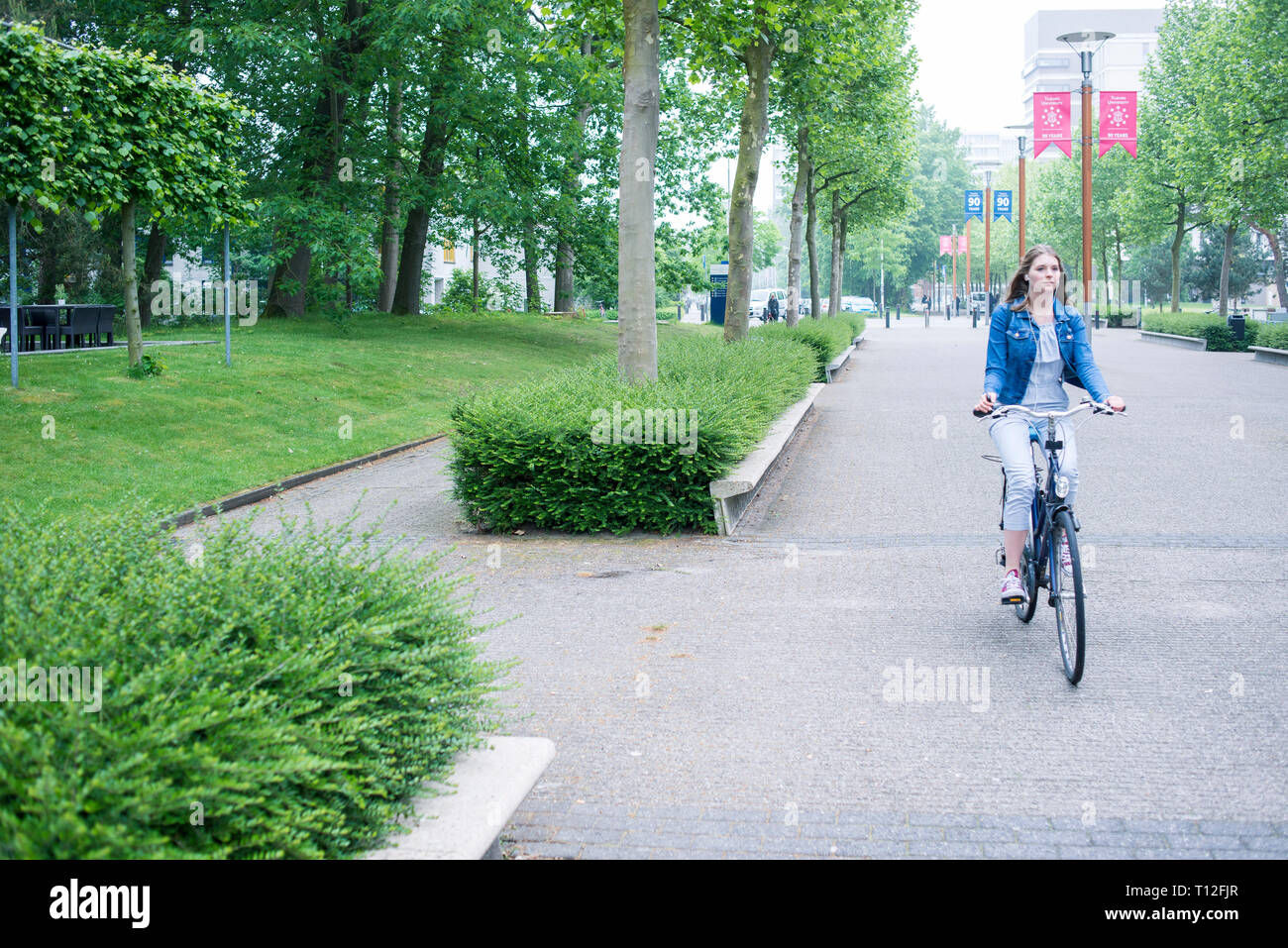 Images taken on campus at Tilburg University in Holland Stock Photo - Alamy