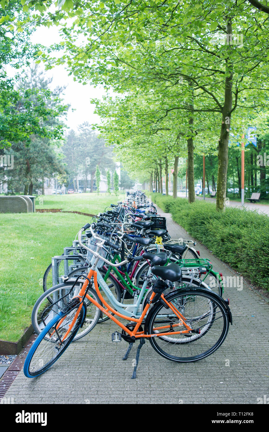 Images taken on campus at Tilburg University in Holland Stock Photo - Alamy