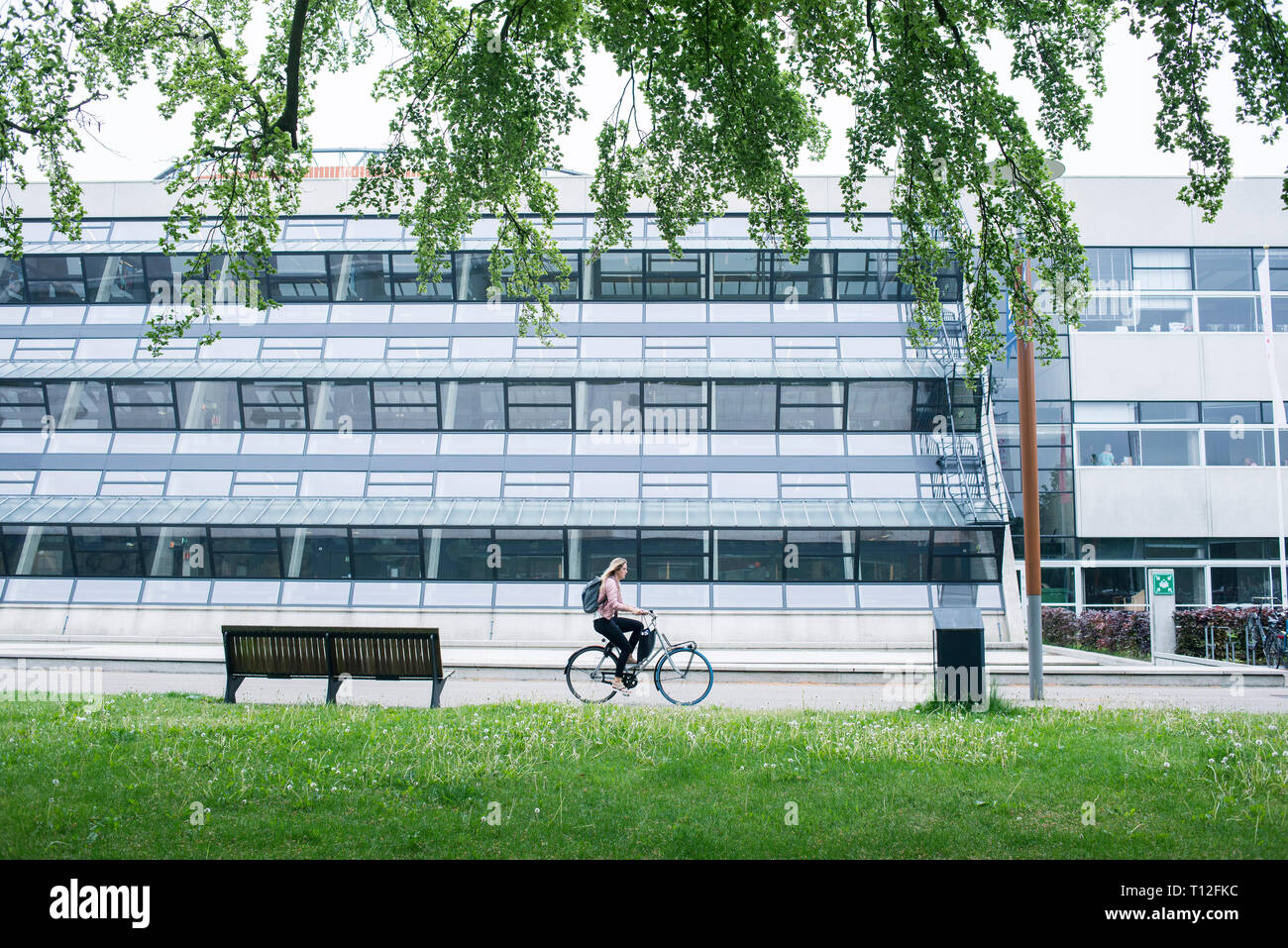 Images taken on campus at Tilburg University in Holland Stock Photo - Alamy