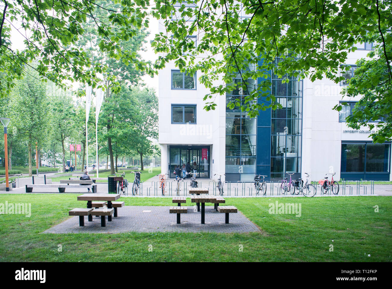 Images around the grounds of Tilburg University in Holland, showing ...