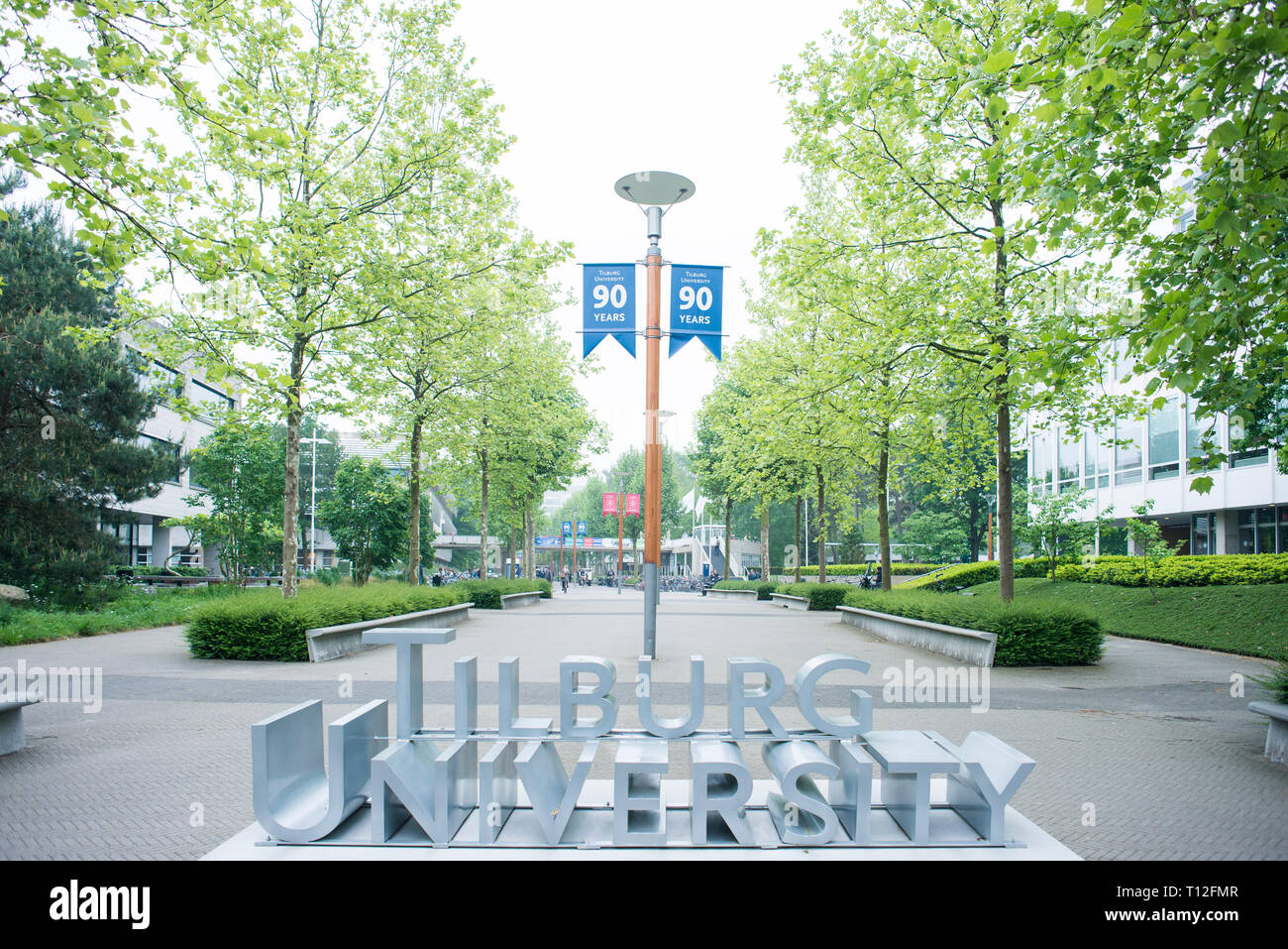 Tilburg University Logo