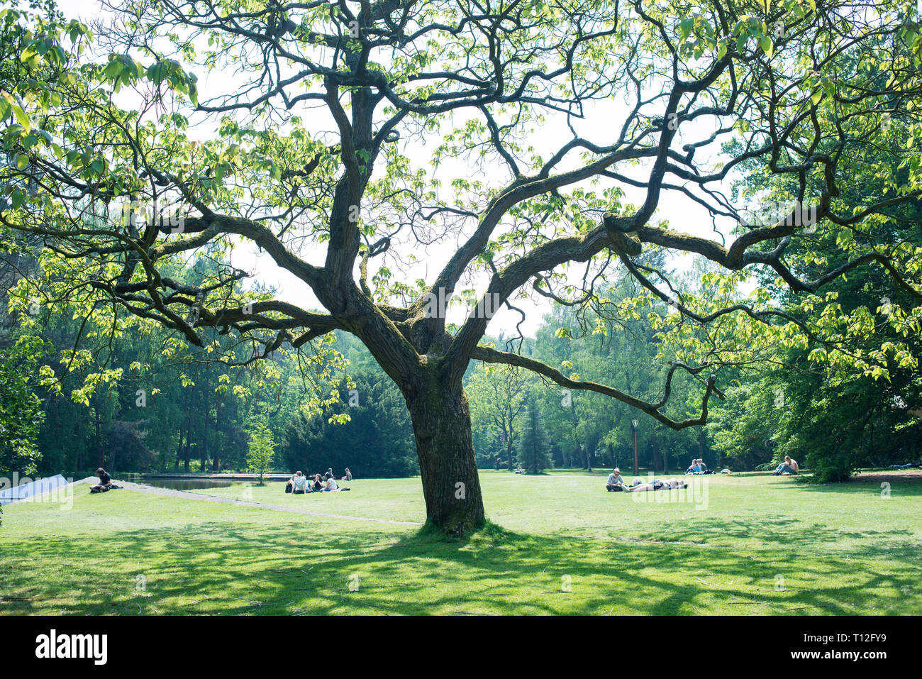 Images of outdoor life at the green Tilburg University college campus ...
