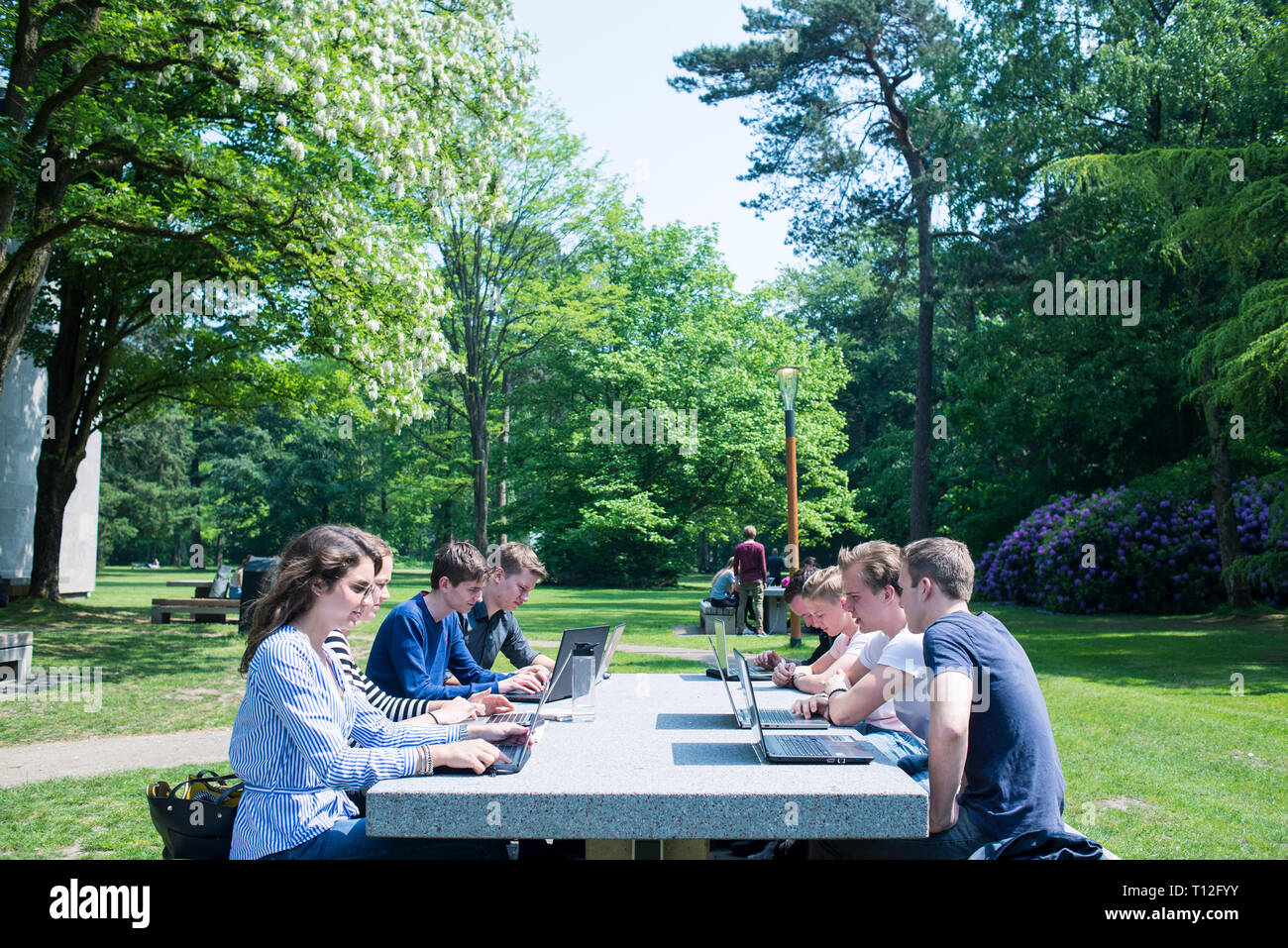 Outdoor classroom university hi-res stock photography and images - Alamy
