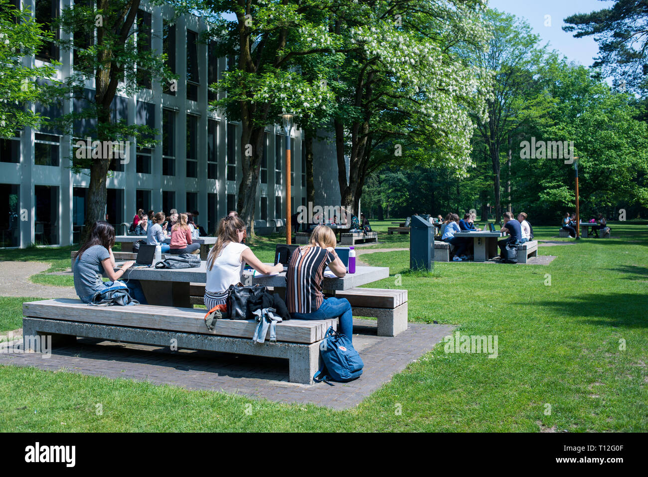 Images of outdoor life at the green Tilburg University college campus ...