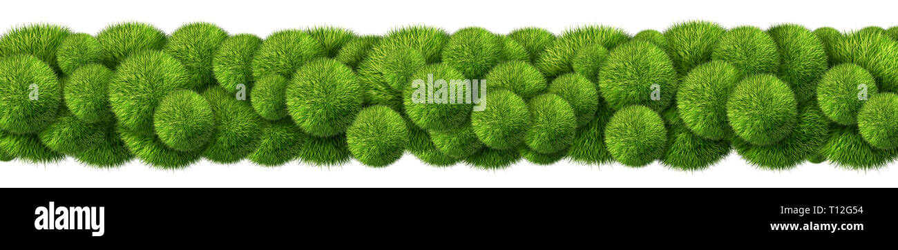 Abstract grass decoration horizontal banner border with spring season ...