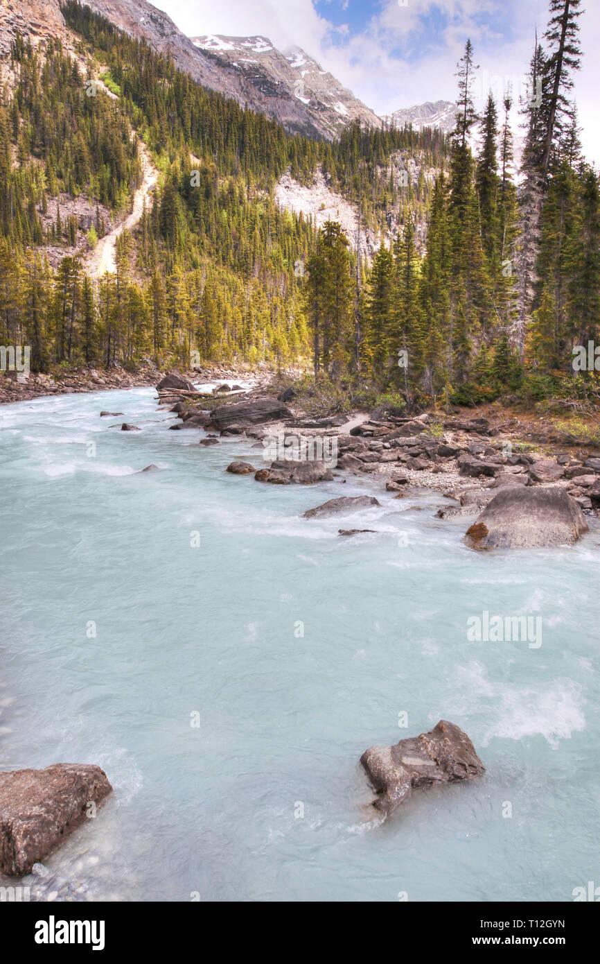 Glacier-fed waters from Takakkaw Falls flow into Kicking Horse River ...