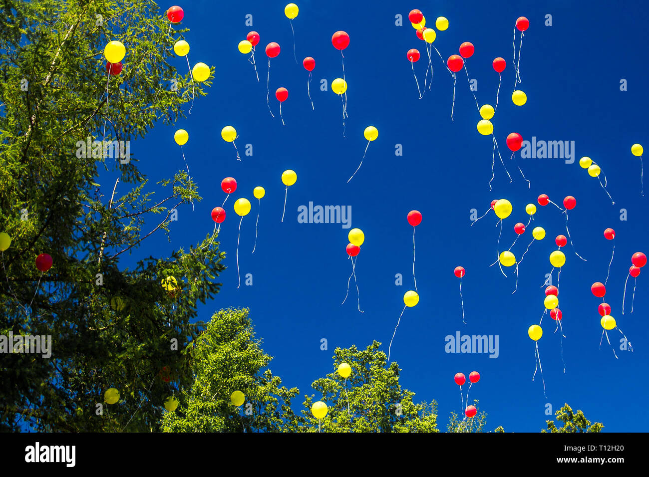 red and yellow balloons fly into the blue sky Stock Photo - Alamy