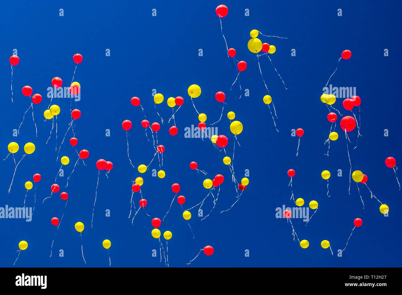 colorful balloons fly across the blue sky Stock Photo - Alamy