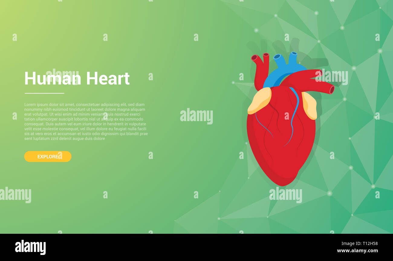 human heart template wallpaper background design concept with free ...