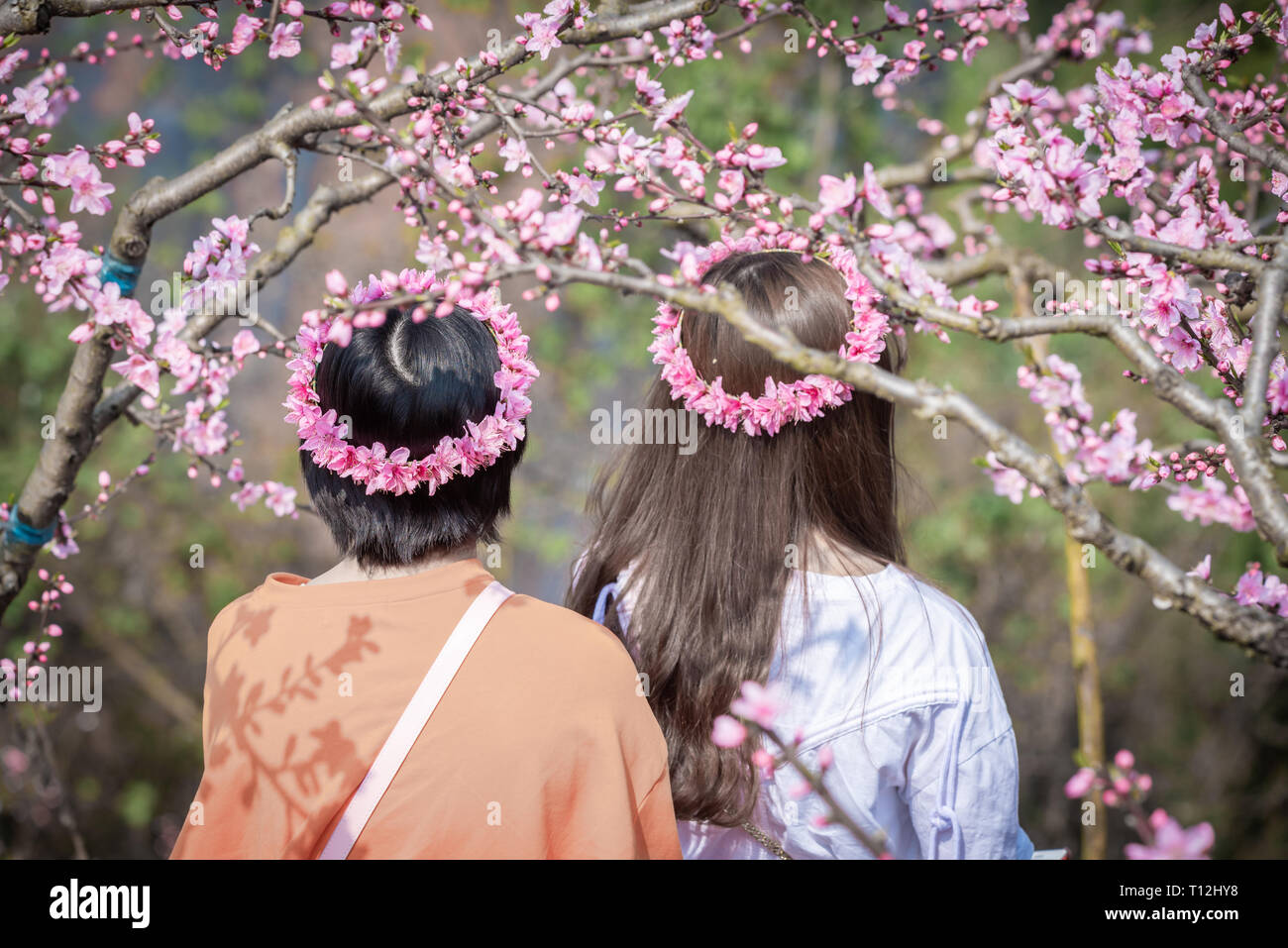 Two chinese girls hi-res stock photography and images - Alamy