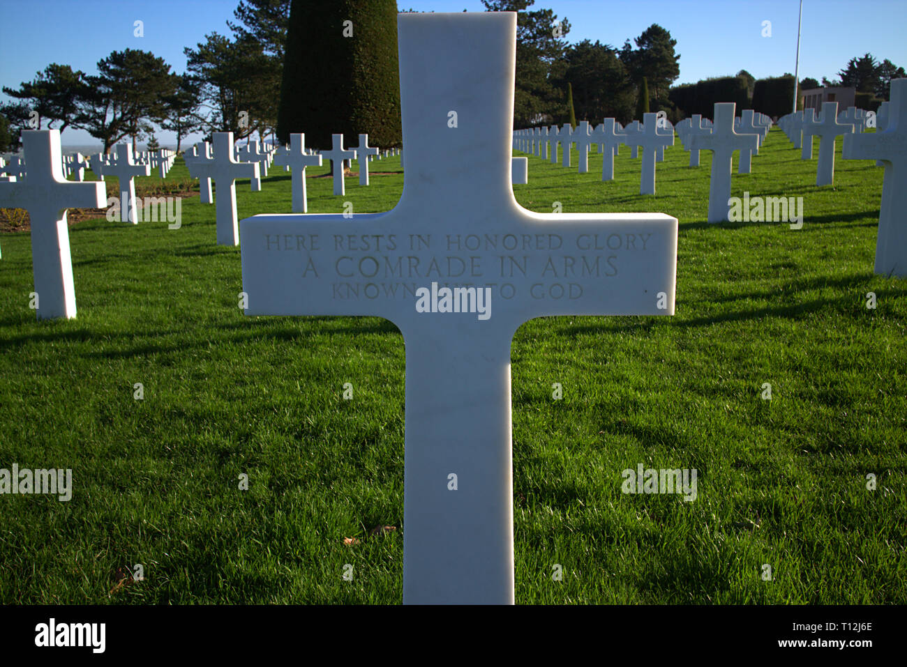 Thousands of crosses in the field of American cemetery of Colleville ...