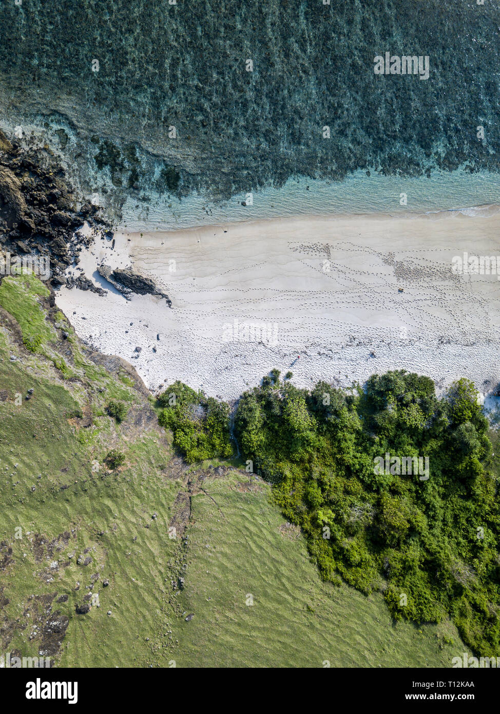Birds eye view of the beach hi-res stock photography and images - Alamy