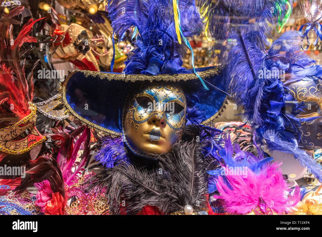 Italy, Venice, 2919 carnival, typical masks, beautiful clothes, posing ...