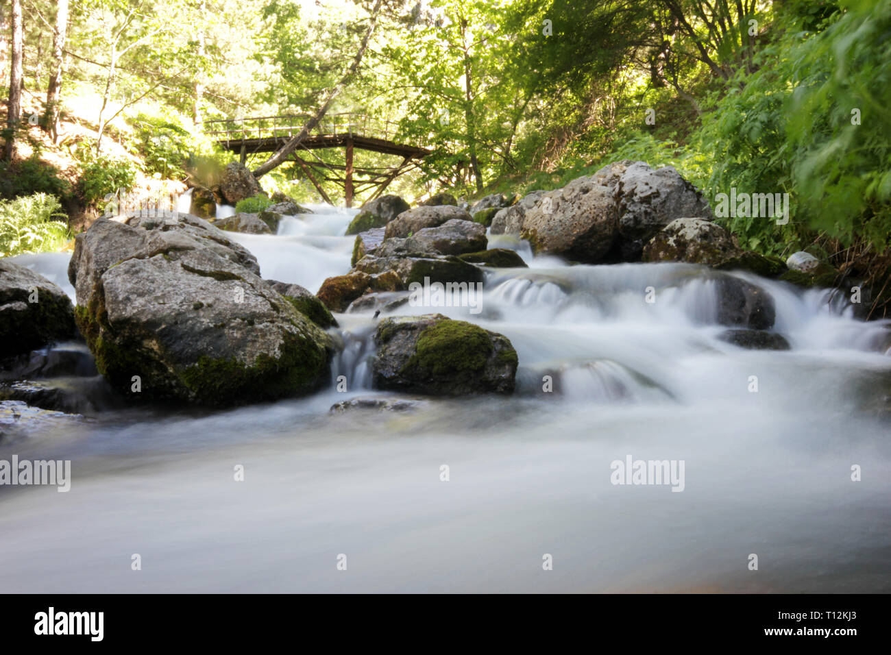 clear water flowing through pebbles in stream Stock Photo - Alamy