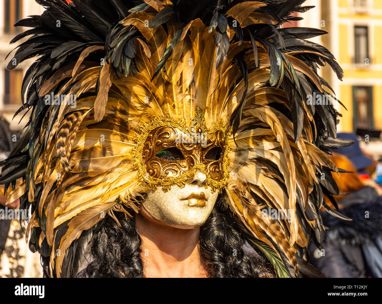 Italy, Venice, 2919 carnival, typical masks, beautiful clothes, posing ...