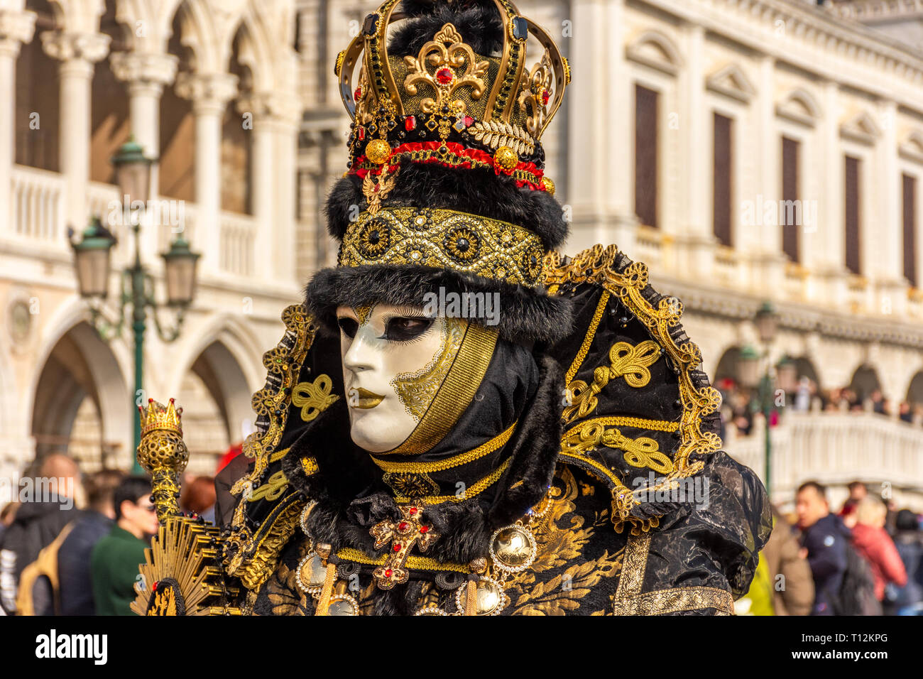 Italy, Venice, 2919 carnival, typical masks, beautiful clothes, posing ...
