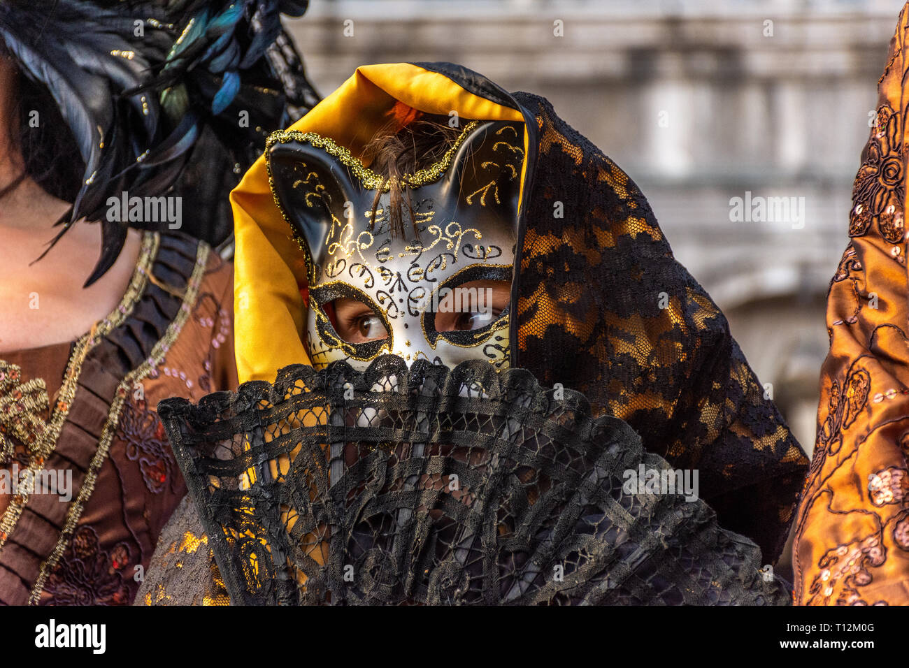 Italy, Venice, 2919 carnival, typical masks, beautiful clothes, posing ...
