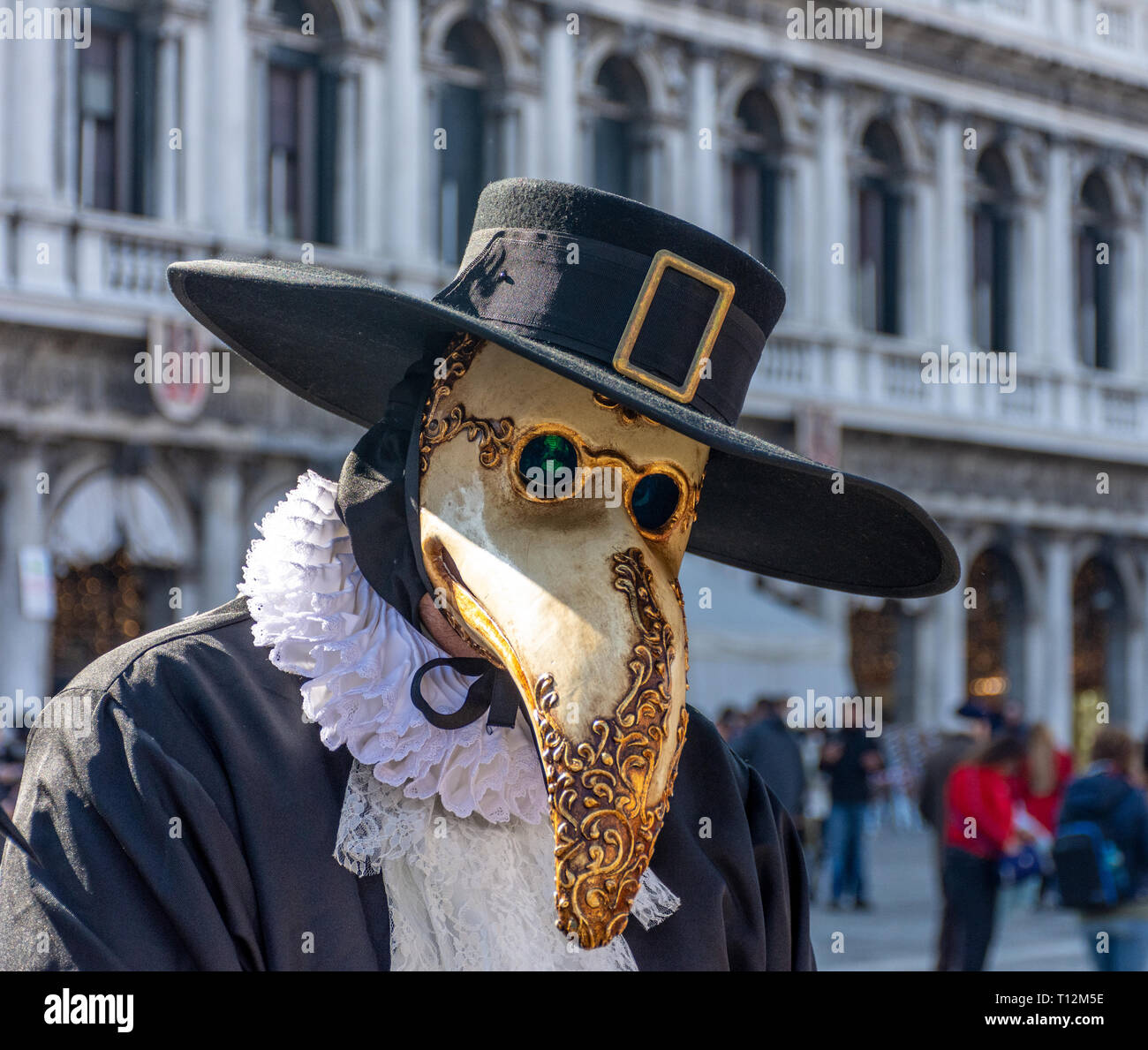 Italy, Venice, 2919 carnival, typical masks, beautiful clothes, posing ...