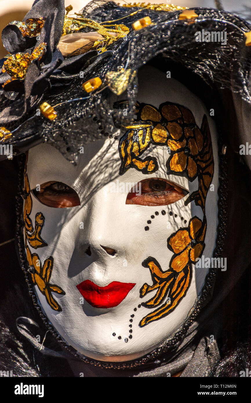 Italy, Venice, 2919 carnival, typical masks, beautiful clothes, posing ...